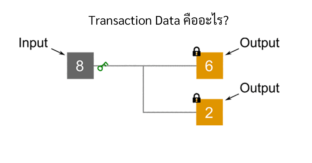 Bitcoin Transaction Data คืออะไร? - Bitcointhailand